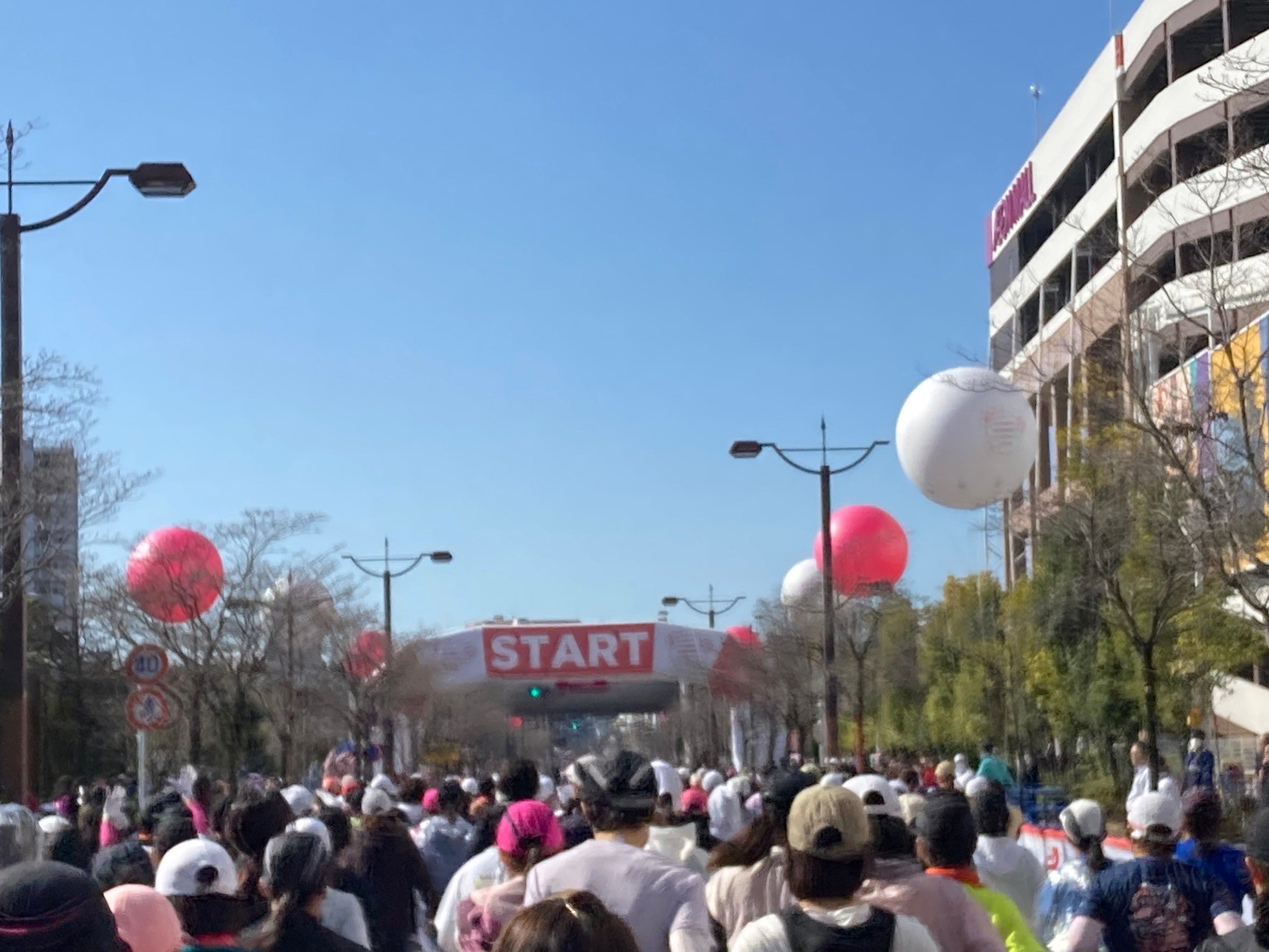 markhorDELIのオンラインストア– マーコールデリ